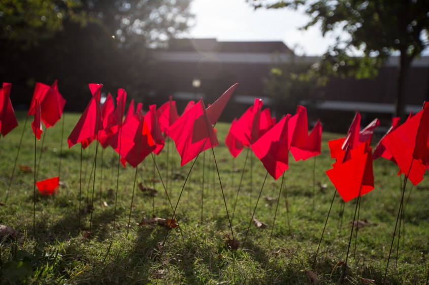 Warning Flags – Save Liverpool Women's Hospital